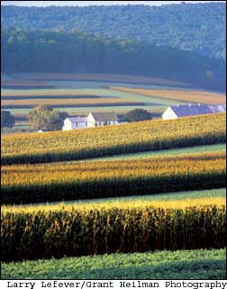 Earthwords: George Washington Carver – Mother Earth News